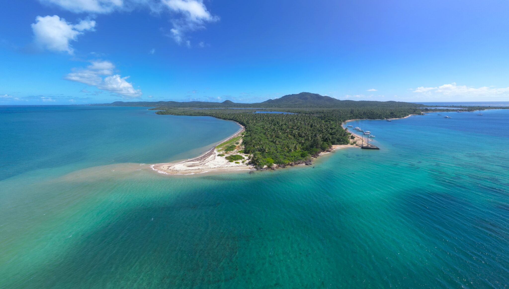 Visit Vieques Island, Puerto Rico