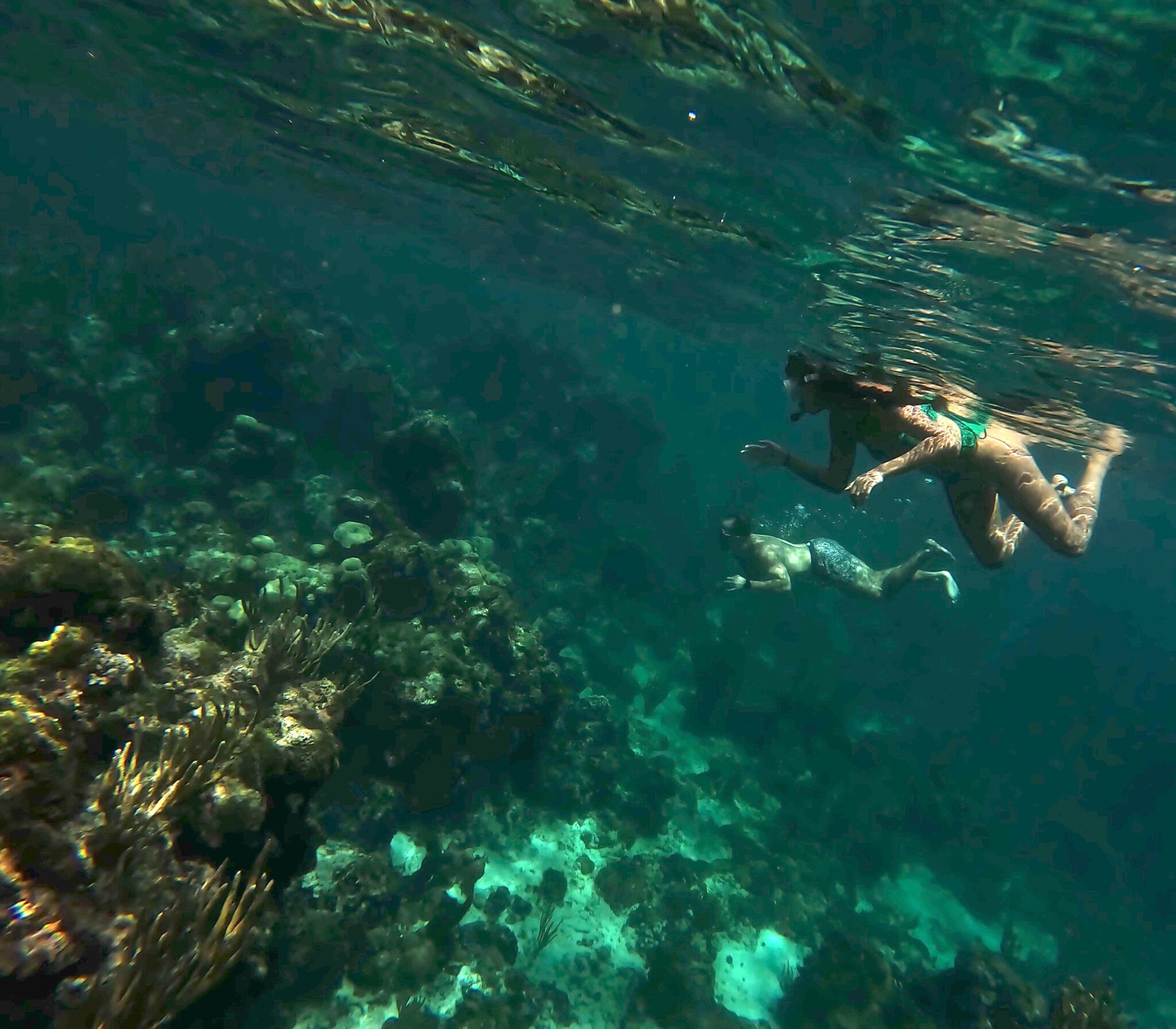 The Best Snorkeling in Puerto Rico