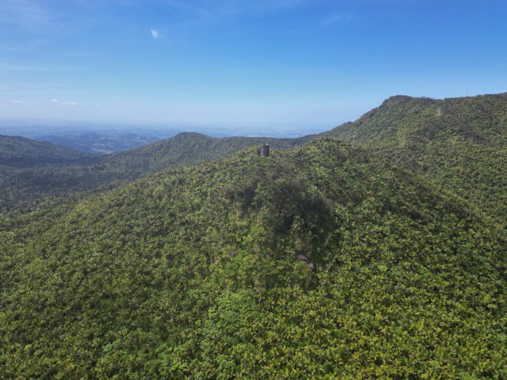 The Best Hikes in Puerto Rico